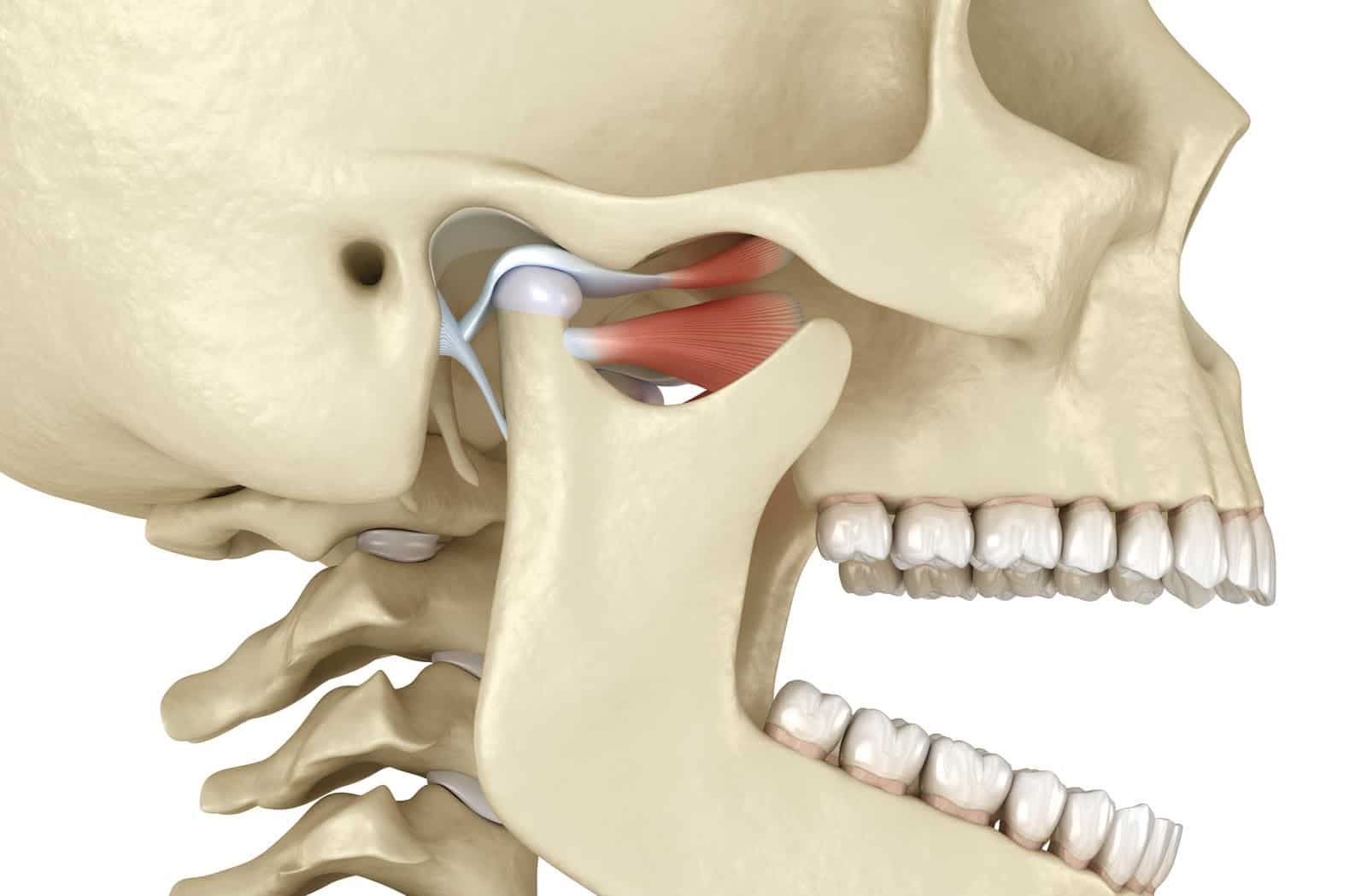 Jaw Pain and The TMJ | Core Physio | Burnside Physio | Physio Near Me